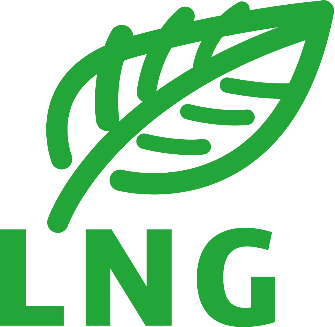 LNG alternativer Kraftstoff im Schwerlastverkehr - Rödl energie
